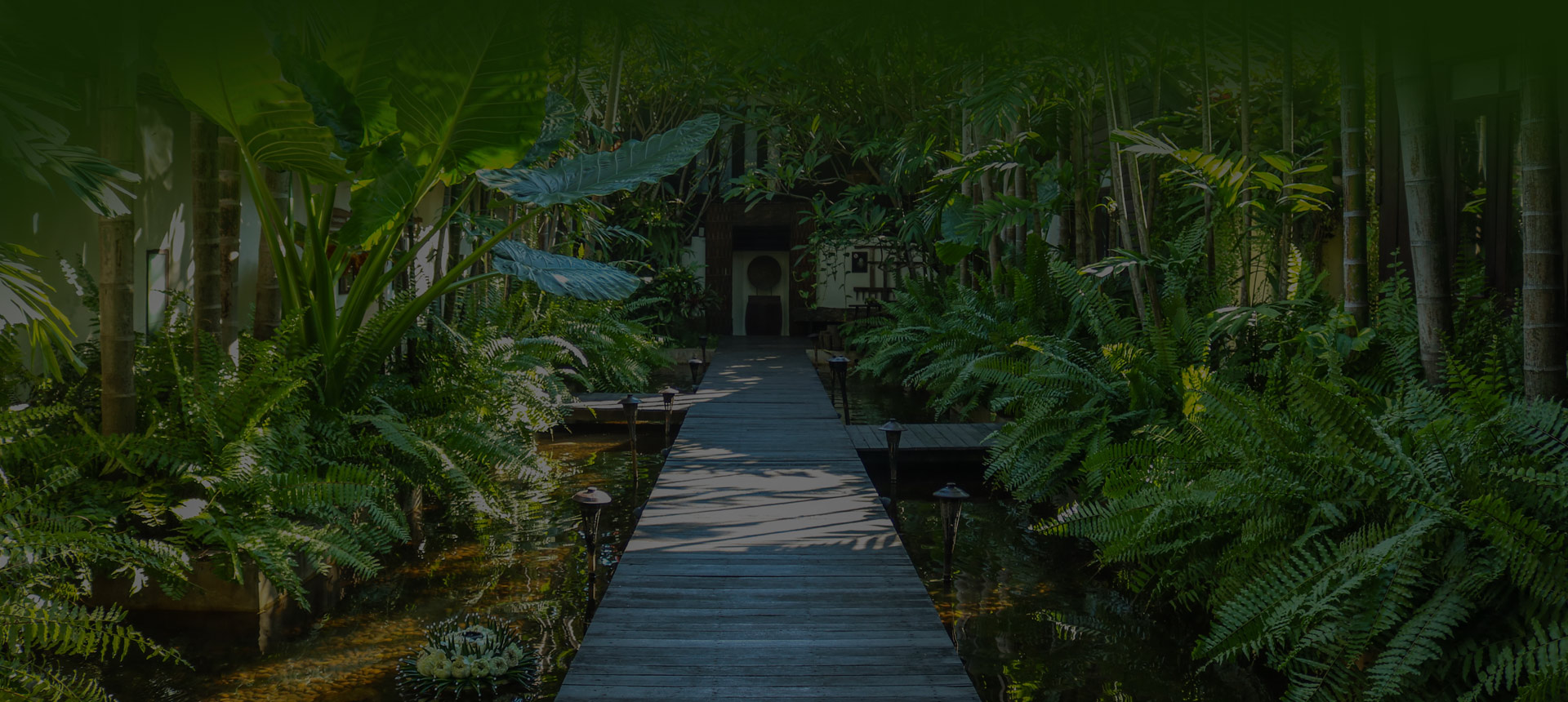 La Macaw – Aranyak Eco Resort | Peaceful Retreat in Bankura